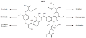 How to produce pure lignin - GREEN AGROCHEM-LIGNIN